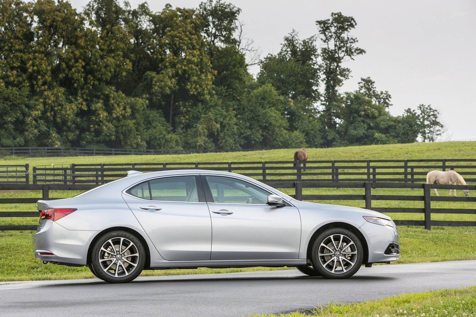 2015 Acura TLX Earns Top Safety Pick+ Award | Edmunds