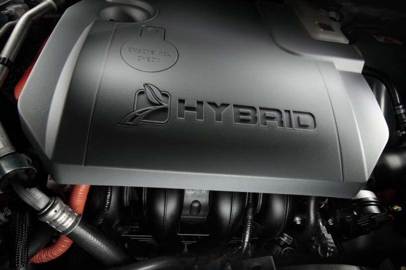 2010 Ford Fusion Hybrid Pictures - 89 Photos | Edmunds