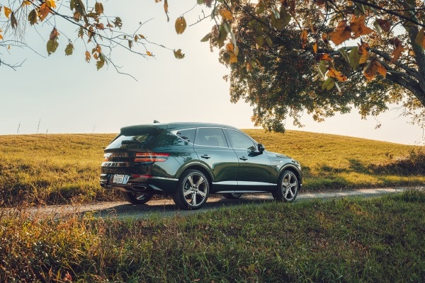 Driving the 2021 GV80: As Smooth as a Master Baker Applying Buttercream ...