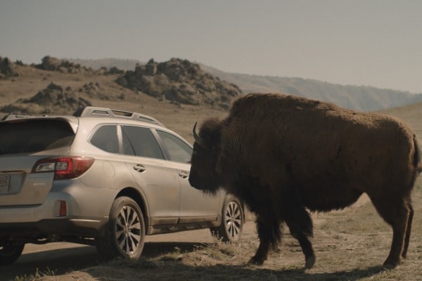 Subaru Outback Price Quotes