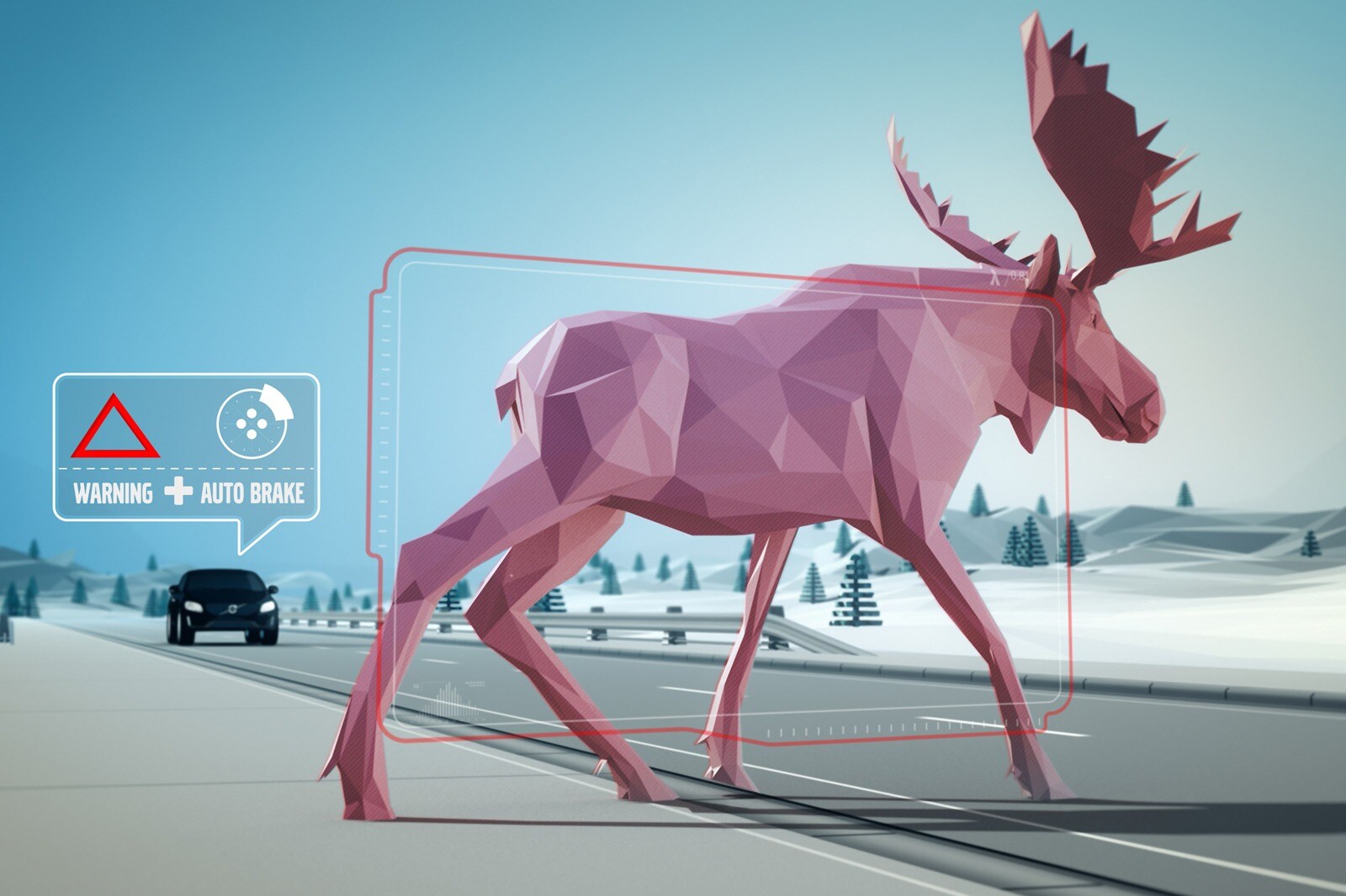 New Animal-Detection Systems Help Drivers Avoid Accidents | Edmunds